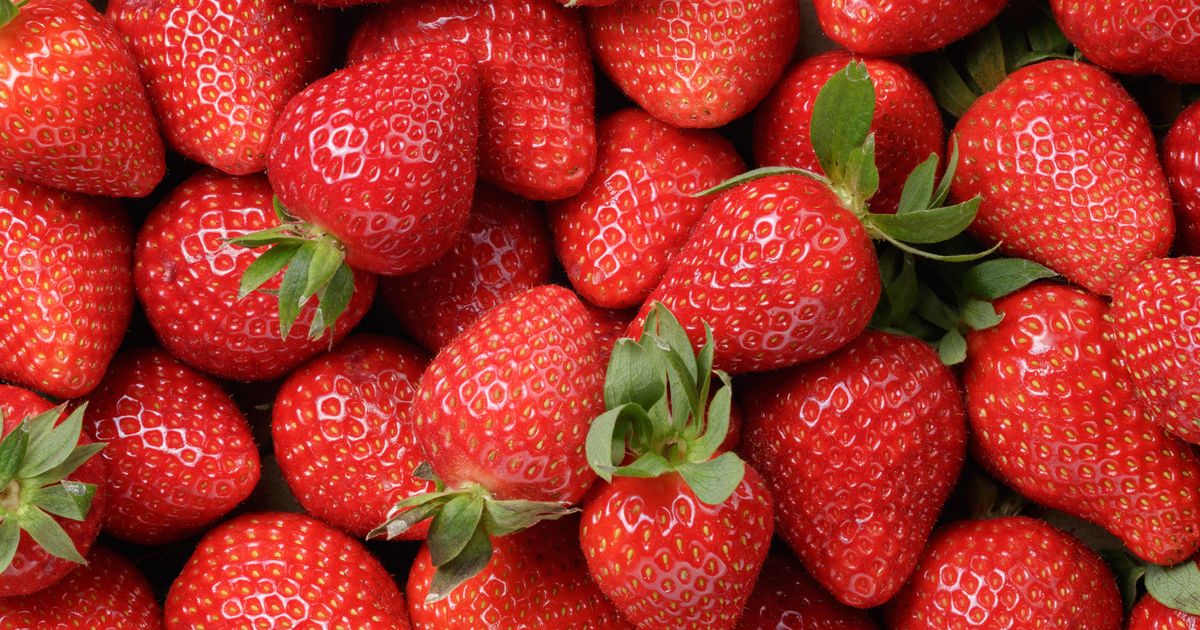 On vous livre notre top 5 des meilleures variétés de fraises