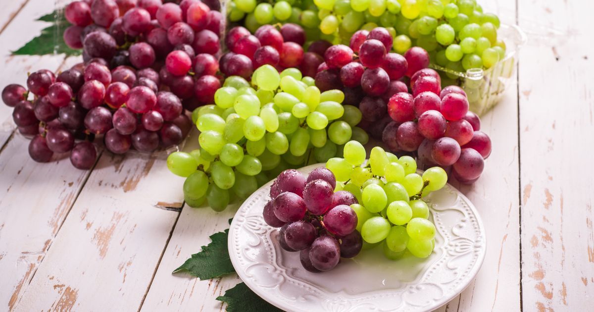 Comment choisir son raisin