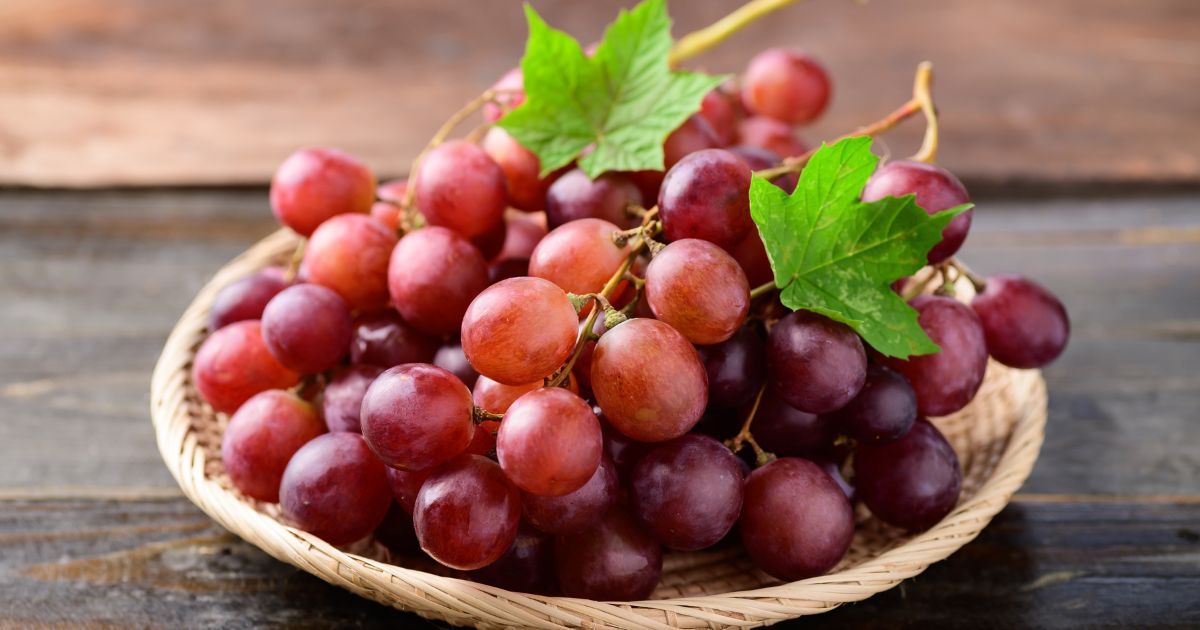 Est-ce une bonne idée de manger du raisin tous les jours Est-ce une bonne idée de manger du raisin tous les jours