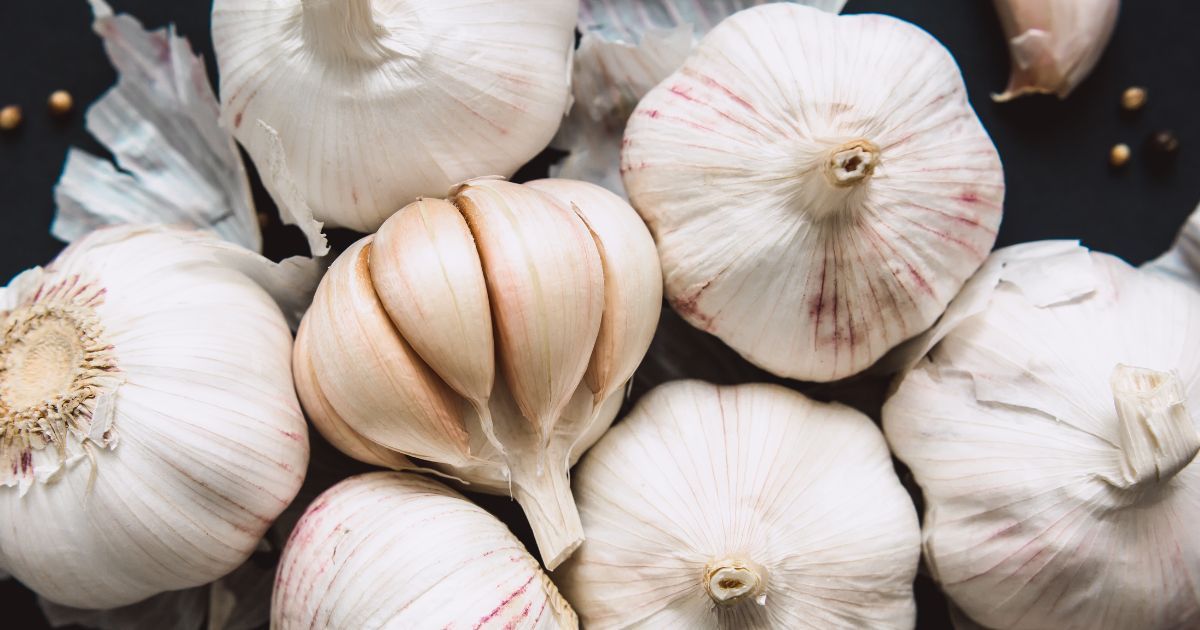 Voici pourquoi vous devriez absolument manger de l’ail cru plutôt que ...