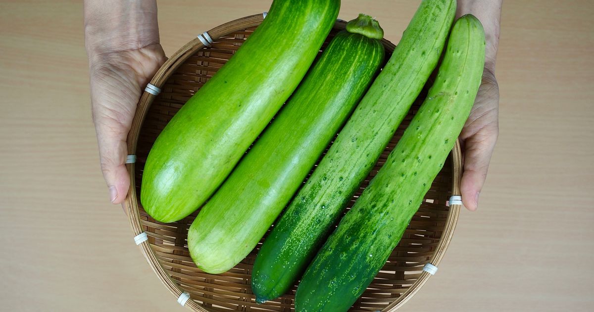 Courgette et concombre : voici la vraie différence entre les deux