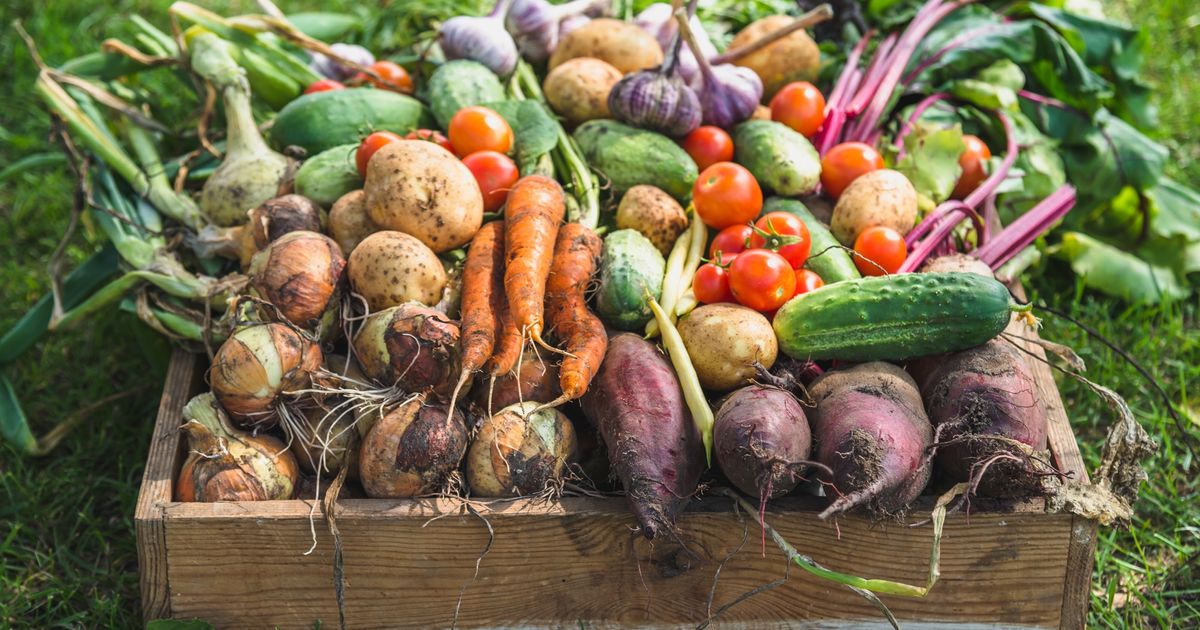 Les aliments bio sont-ils vraiment meilleurs pour notre santé ? La ...