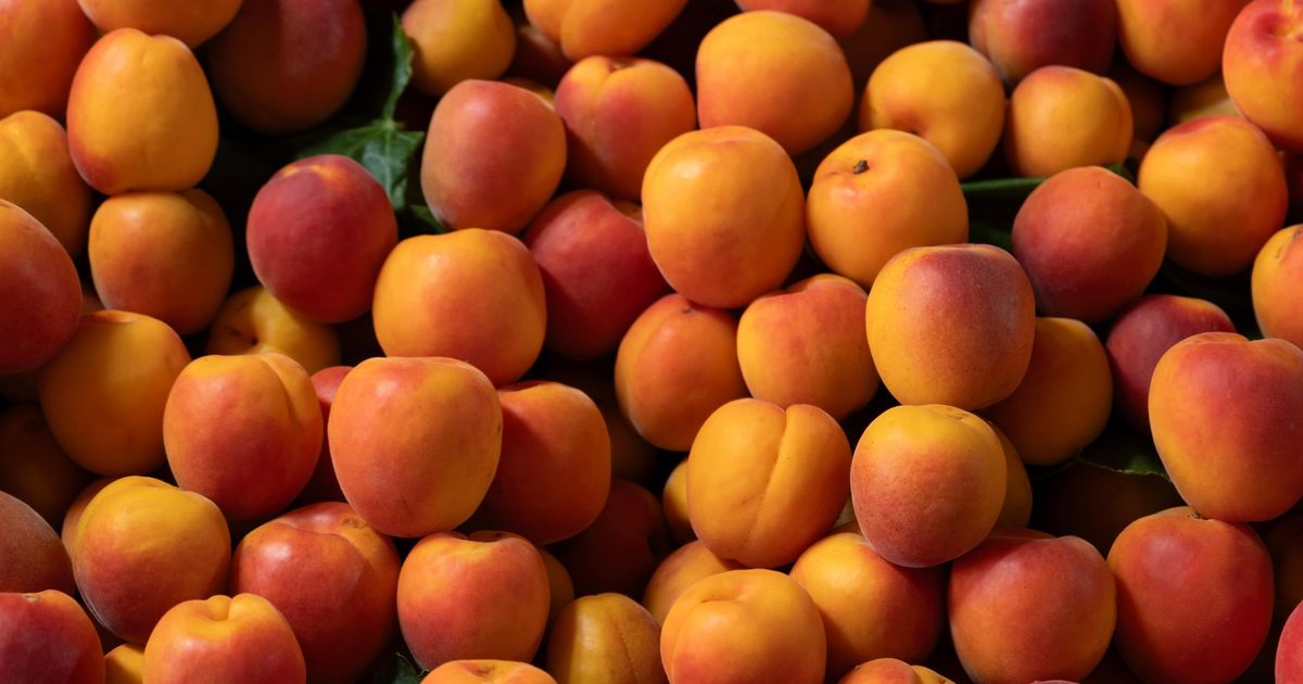 Abricots oranges ou rouges : voici le meilleur des deux à déguster (et ...