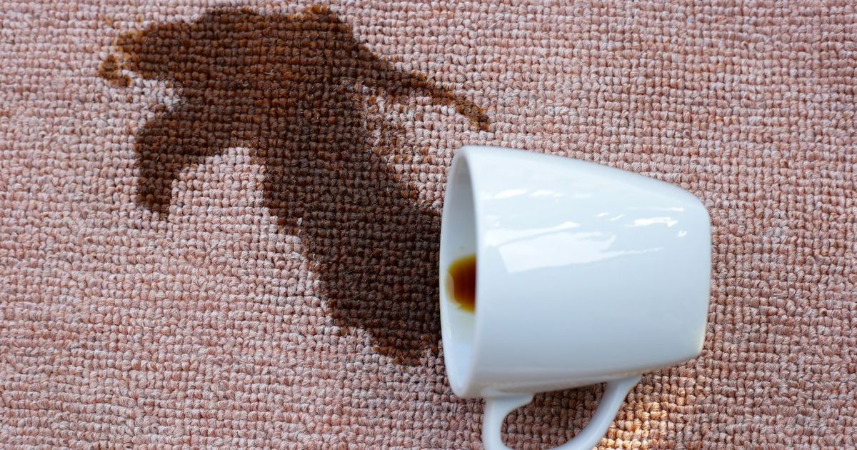 Ce spray Action à moins de 2 euros est magique : il protège tous vos ...