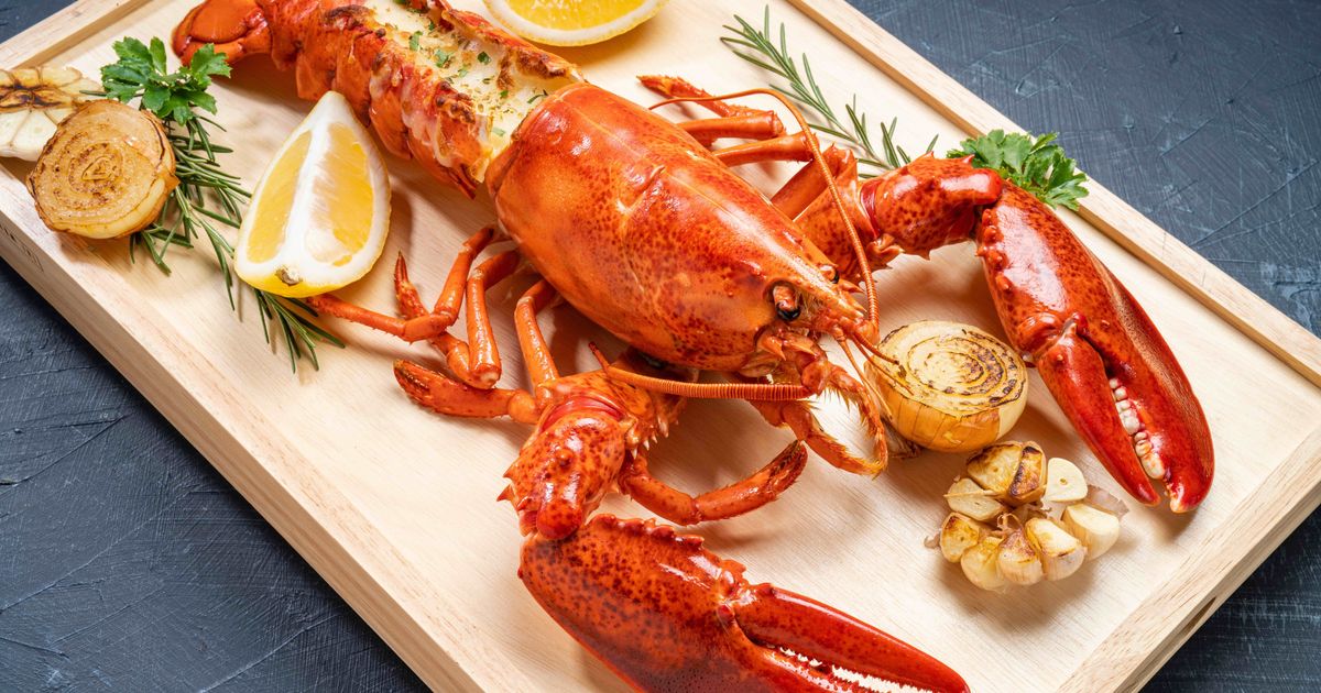 Comment cuire un homard ? Techniques pour une chair parfaite