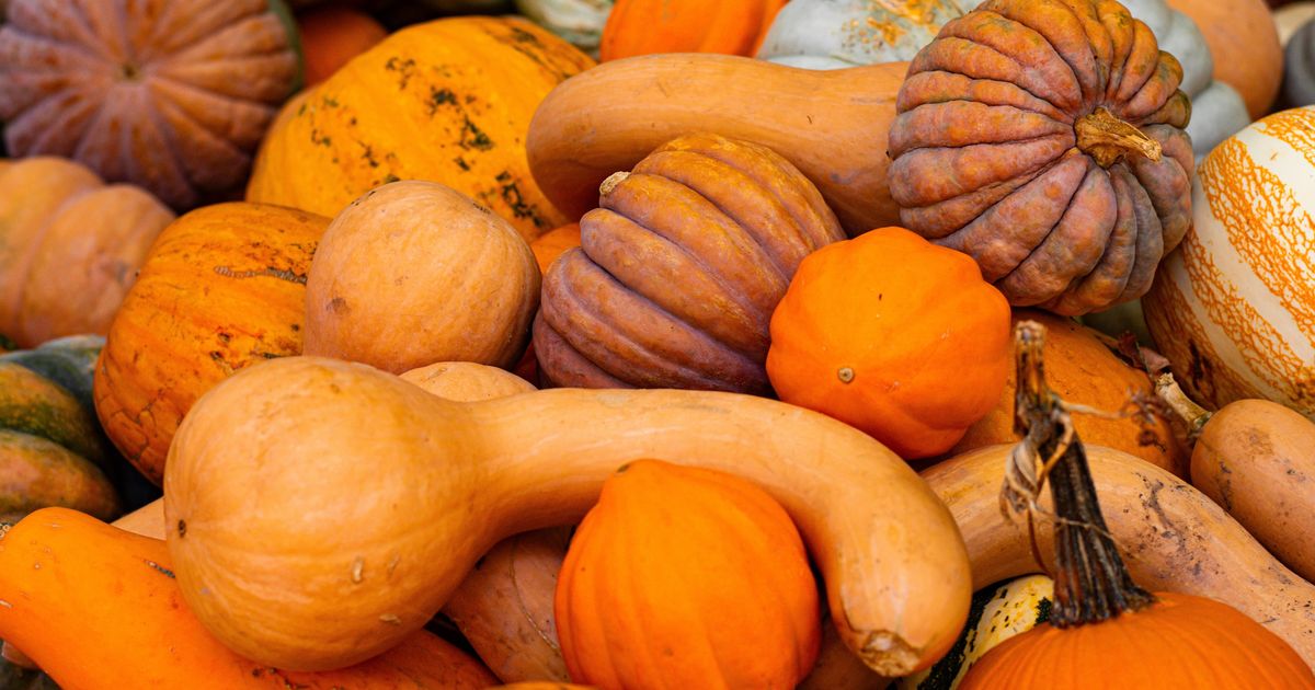 Méfiez-vous de ces courges, contrairement à ce que certains pensent ...