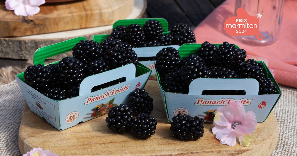 Succombez à la mûre de Panach’Fruits, un fruit 100% français produit en ...