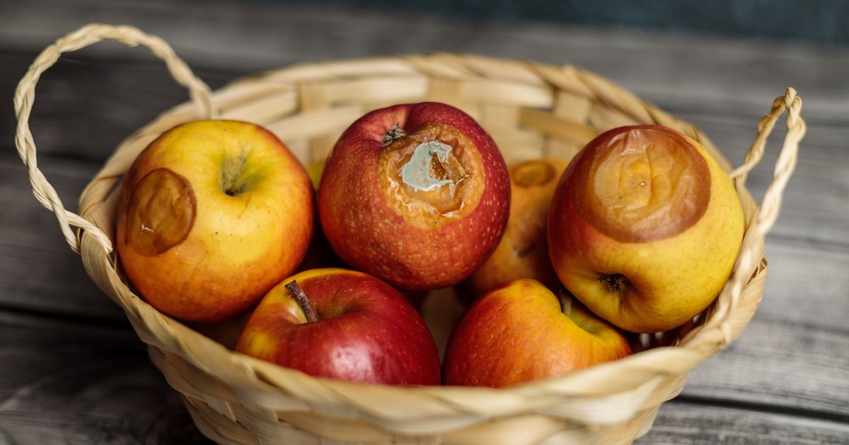 Les fruits d’hiver pourris, c’est fini, grâce à cette technique ...