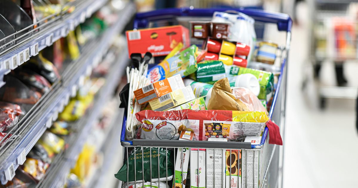 Riche en protéines et pas cher, ce produit anti-crise n’est pas boudé ...