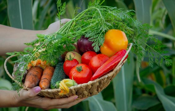 Logo de lait plus kenitra : nos délicieuses recettes de logo de lait ...