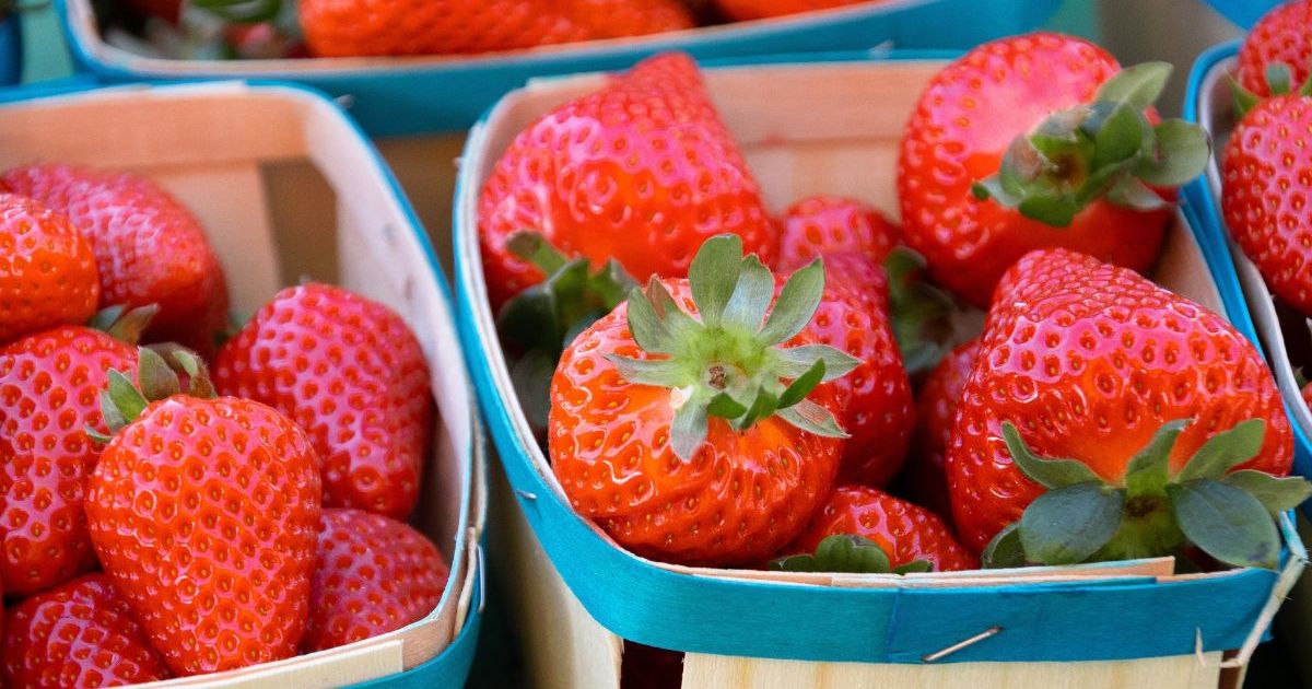 Fraises en barquette : voici la bonne façon de les conserver et éviter ...