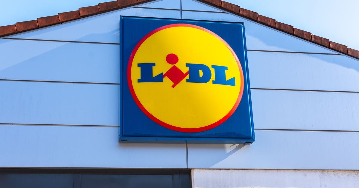 "Le 21ème magasin du département" : un nouveau Lidl plus grand et plus ...
