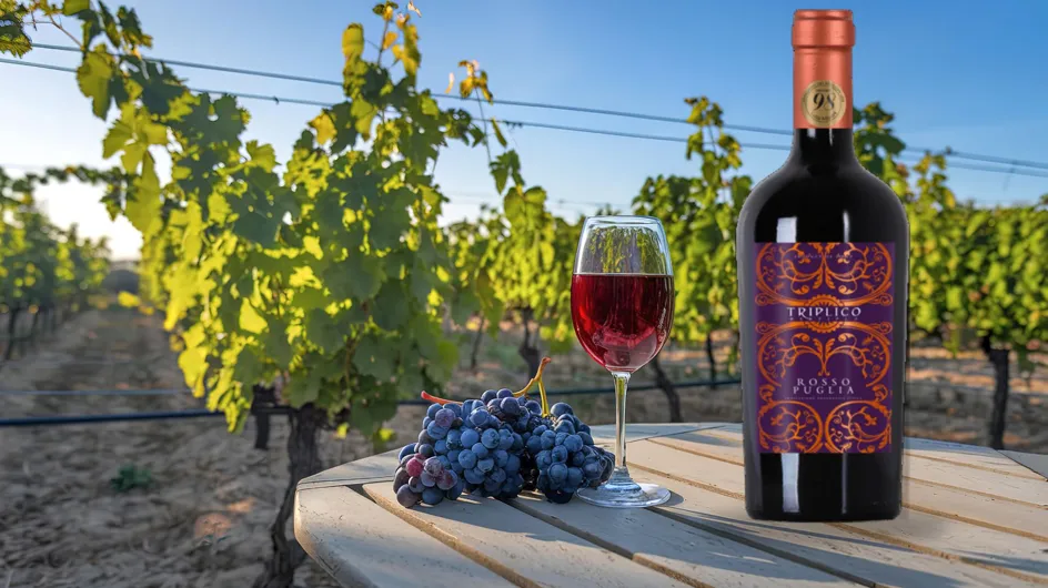 "Je suis tombé amoureux de ce vin dès la première gorgée !" : ce vin ...