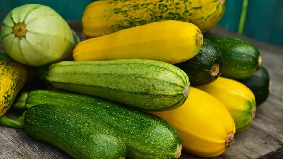 Courgette : voici tout ce que vous devez savoir sur ce légume ...