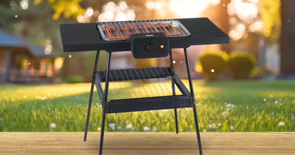 Profitez des dernières journées d’été avec ce barbecue électrique à moins de 30 euros