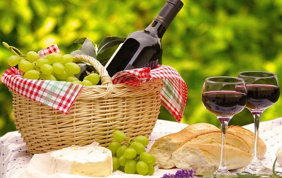 Catanac 50 : nos délicieuses recettes de catanac 50