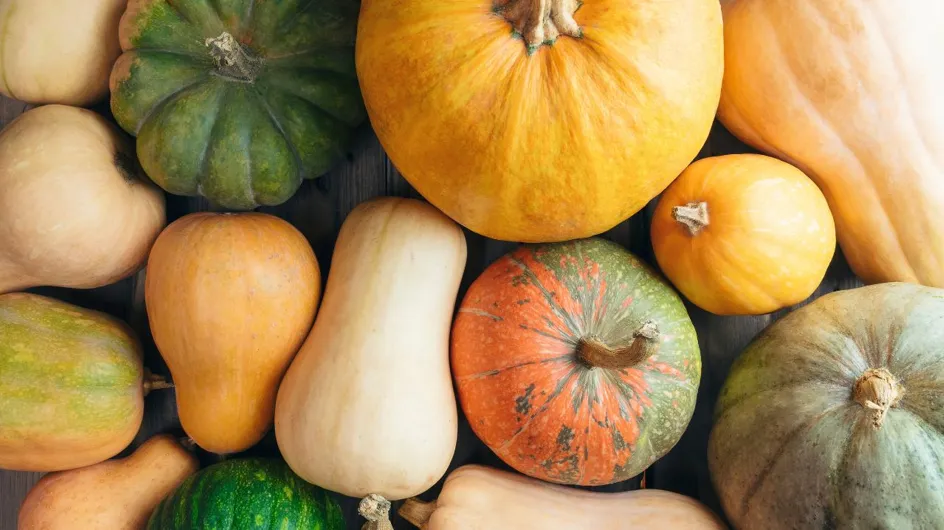 15 variétés de courges d’automne et d’hiver : ces signes pour les ...