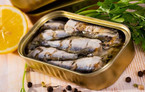 Sardines en boite : nos délicieuses recettes de sardines en boite