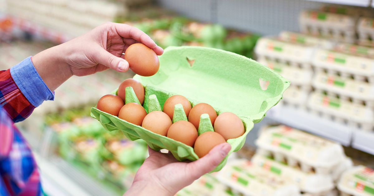 Pourquoi les œufs désertent les rayons de nos supermarchés en ce moment