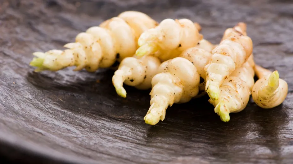 Il résiste à -20°, se replante tout seul et soigne vos intestins : le ...