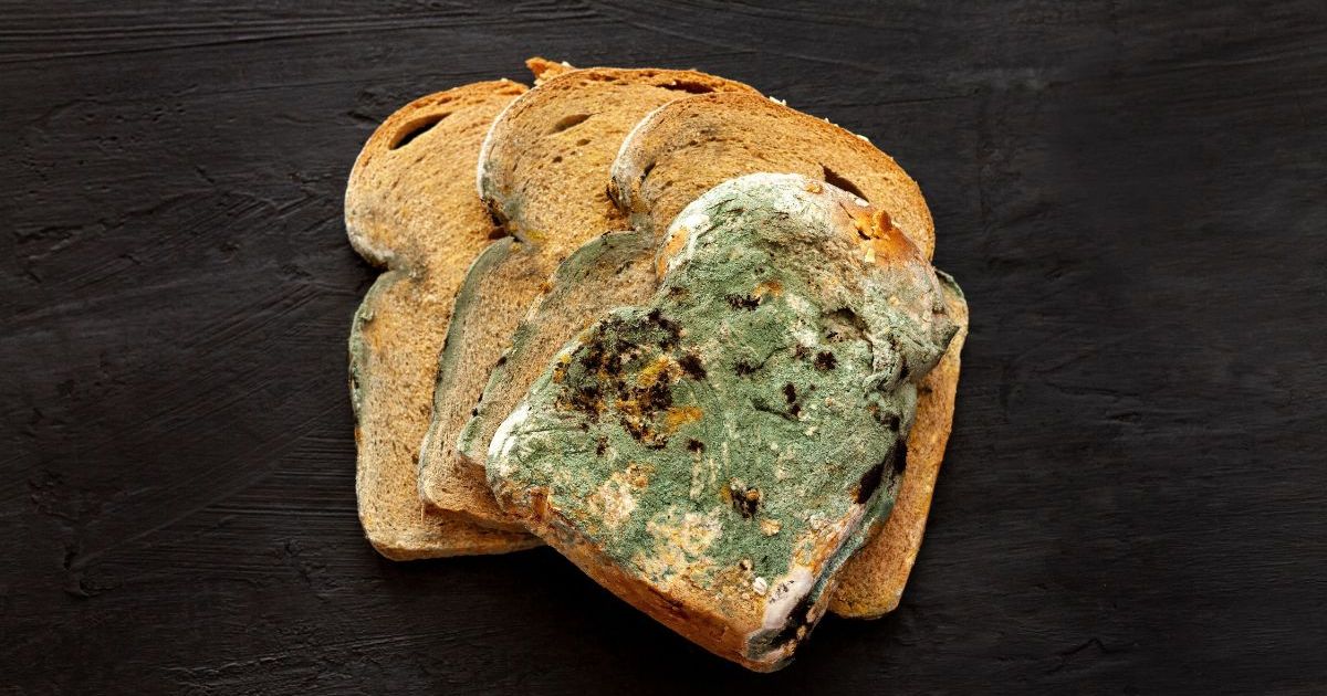 Peut-on vraiment couper les bouts de moisi sur le pain et manger le ...