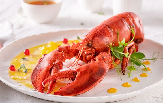Homard au four : nos délicieuses recettes de homard au four