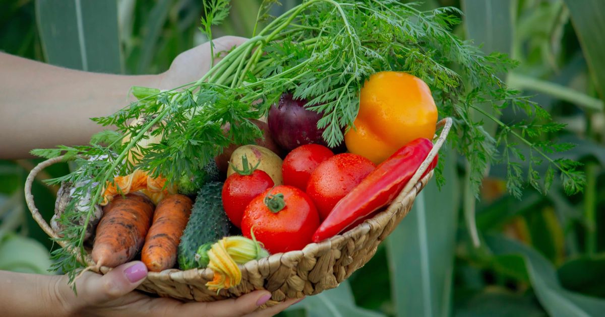 Ce légume ancien revient en force : une mine d’or pour votre santé