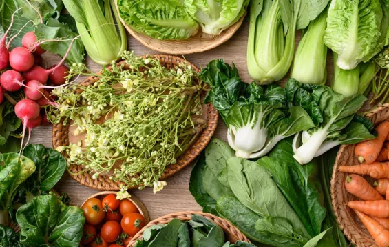 Legumes de printemps : nos délicieuses recettes de legumes de printemps