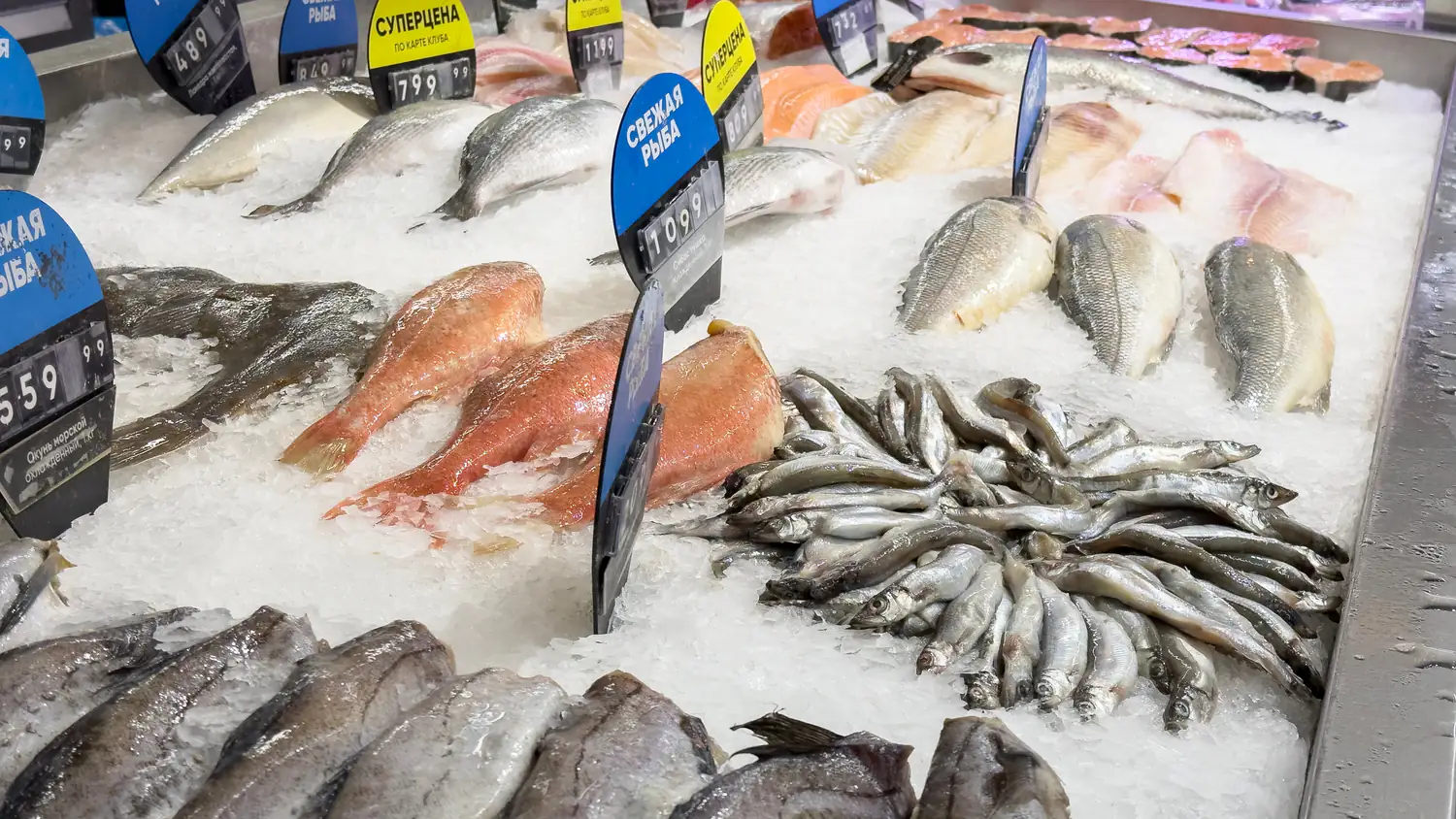 L'un des poissons préférés de nos aïeux : son petit prix est idéal pour ...