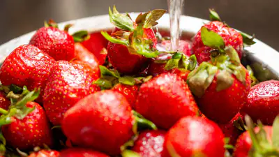 Les maraîchers ne passent pas les fraises sous l'eau : ils ont une ...