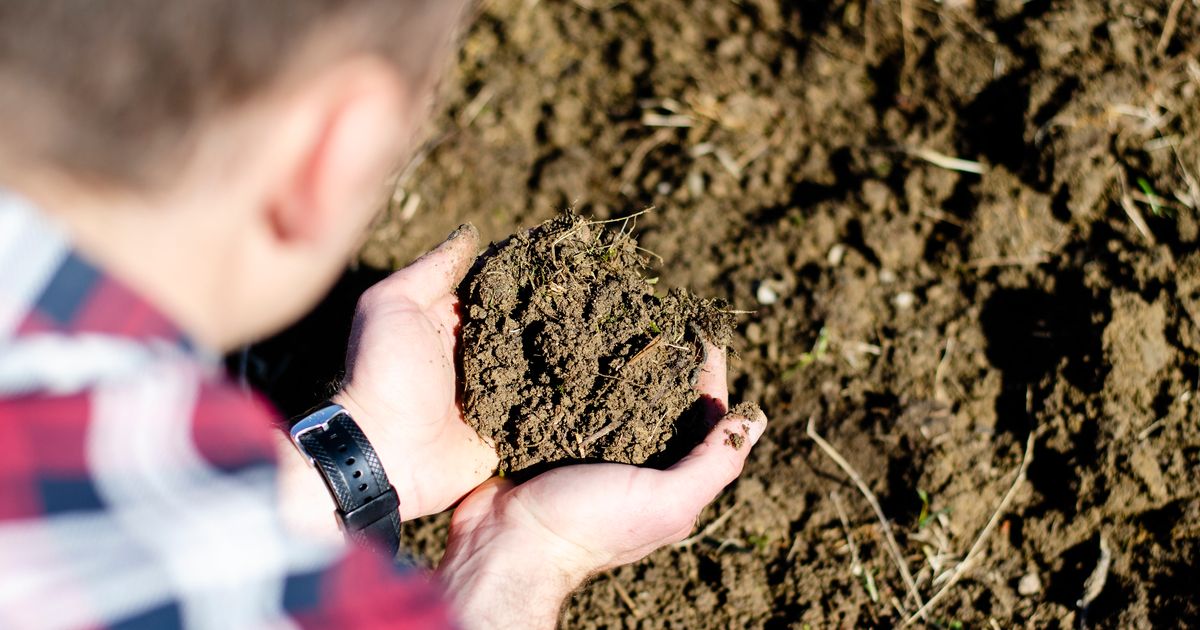Aux Etats-Unis, l’État de Washington légalise le "compost humain"