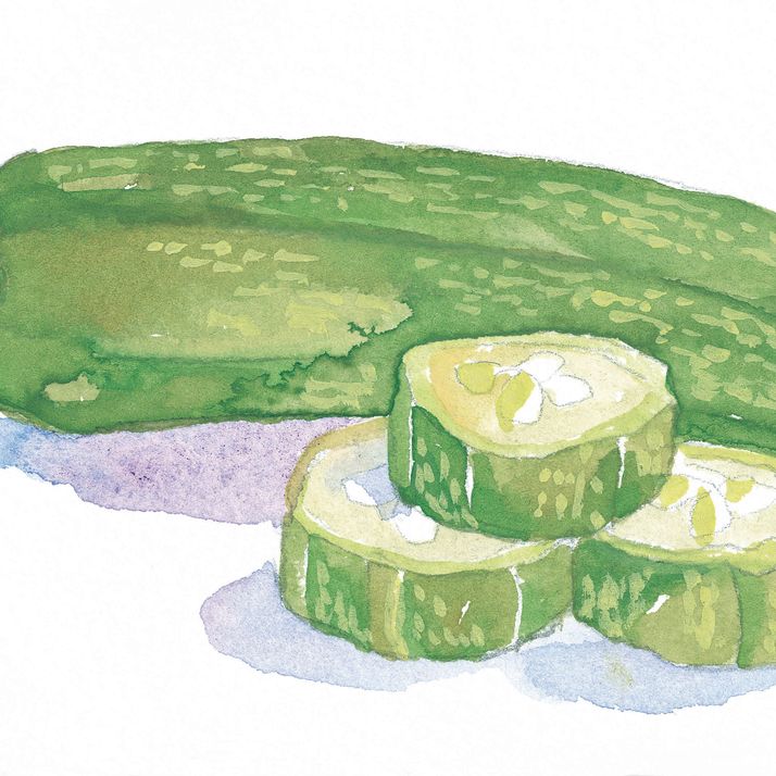 20 recettes de saison pour février