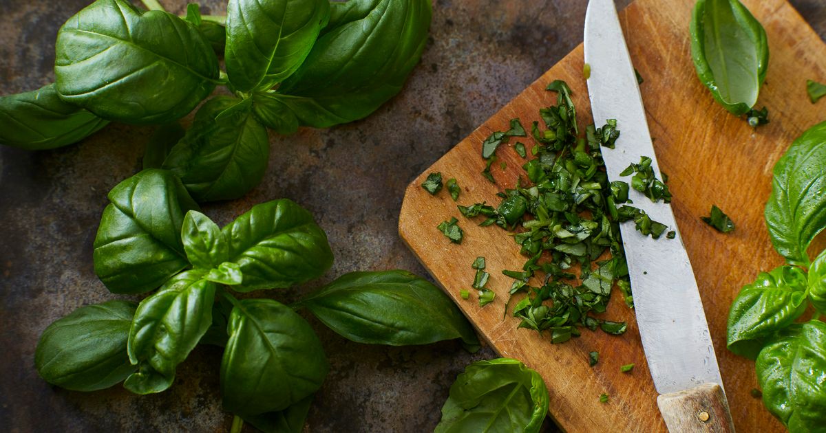 Basilic : nos conseils pour le choisir et le cultiver